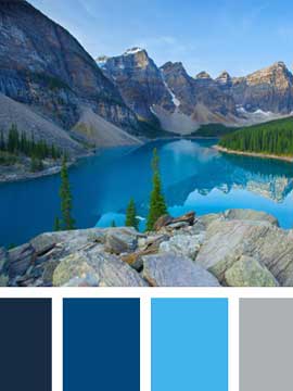 Food Colors - Eider Food & Fragrances Ingredients